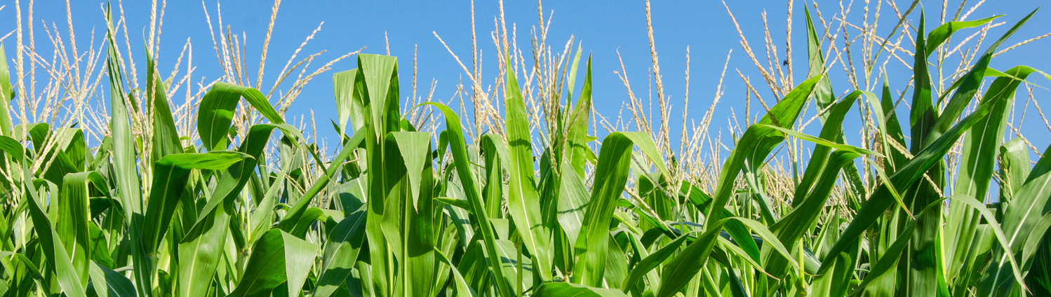 What is ASTM D6868? – CiboWares