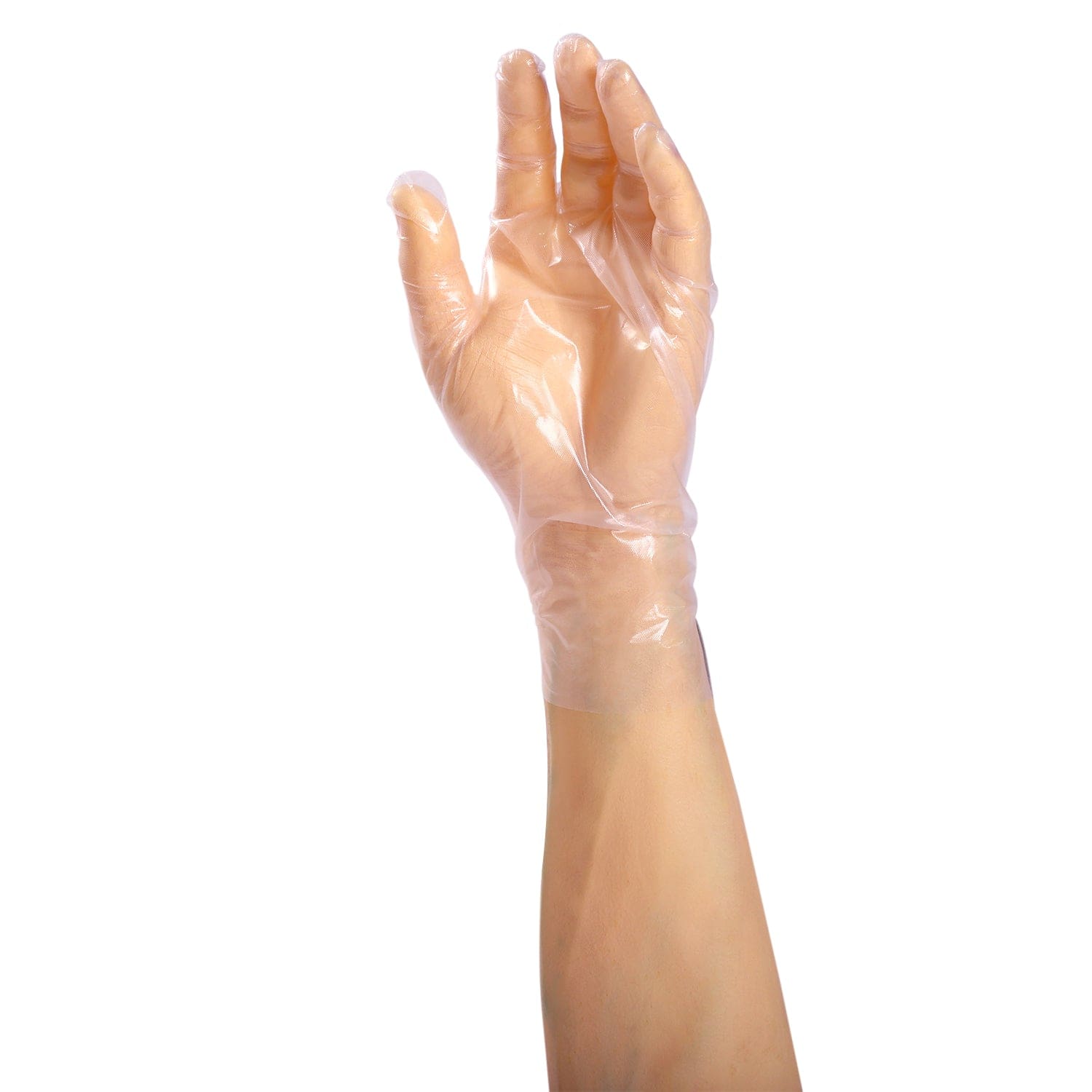 Poly Gloves – CiboWares